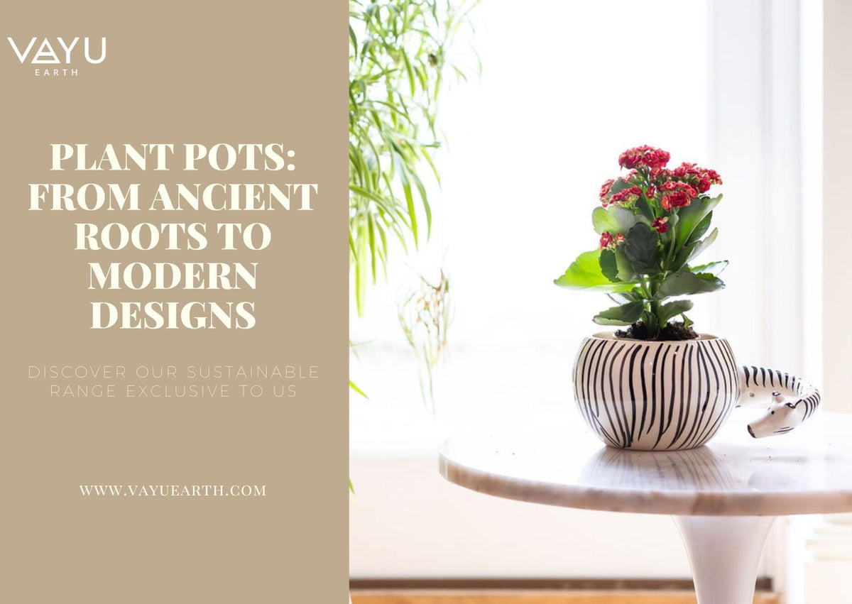 The Evolution of Plant Pots: From Ancient Roots to Modern Designs ...